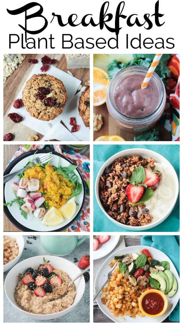 Easy Plant Based Breakfast Recipes ~ Veggie Inspired