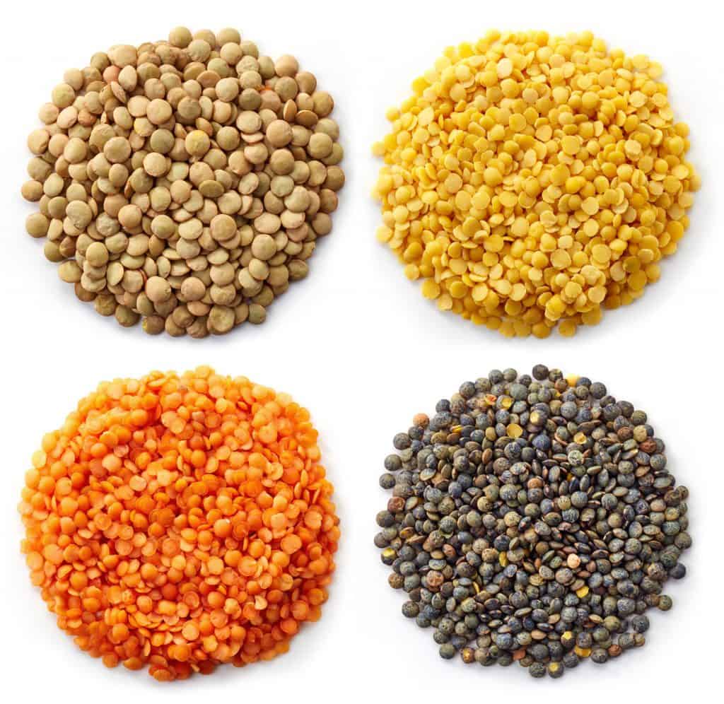 The Best Vegan Lentil Recipes Roundup ~ Veggie Inspired