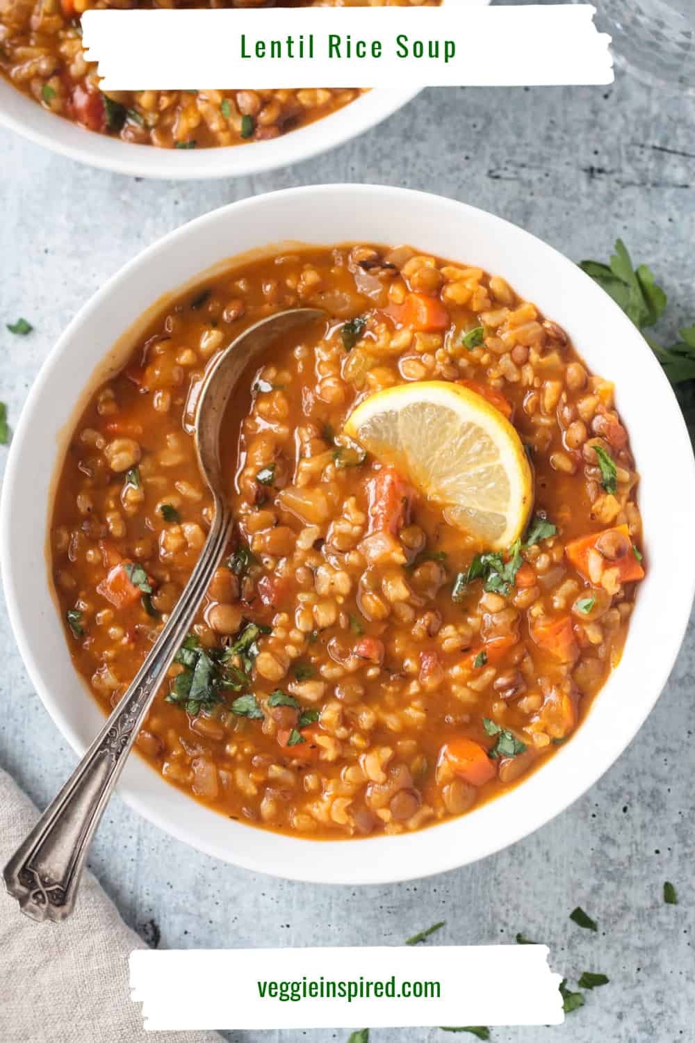Lentil Rice Soup ~ Veggie Inspired