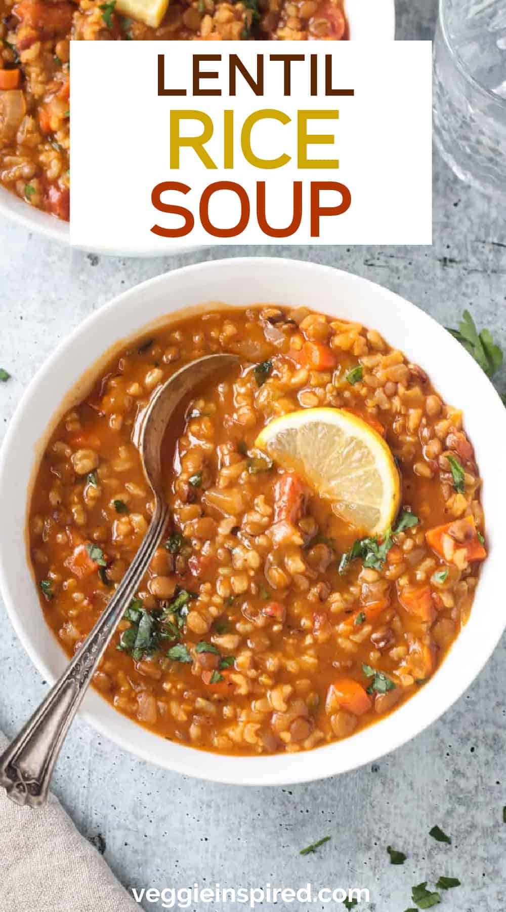 Lentil Rice Soup ~ Veggie Inspired