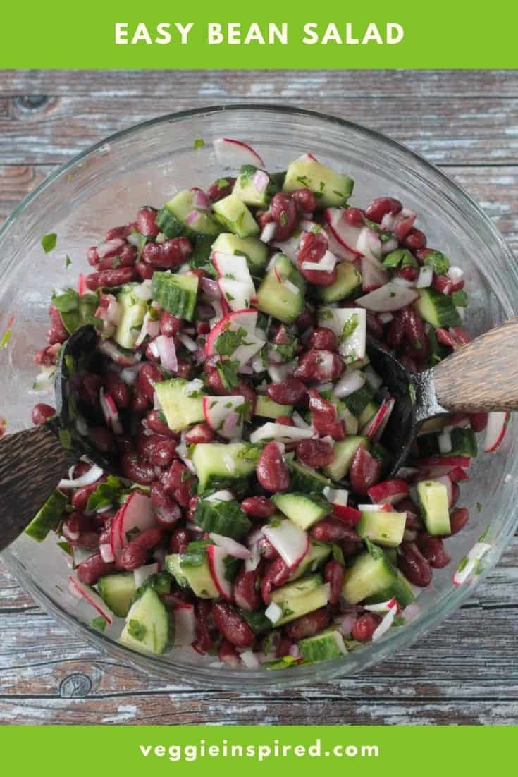 Red Kidney Bean Salad ~ Veggie Inspired