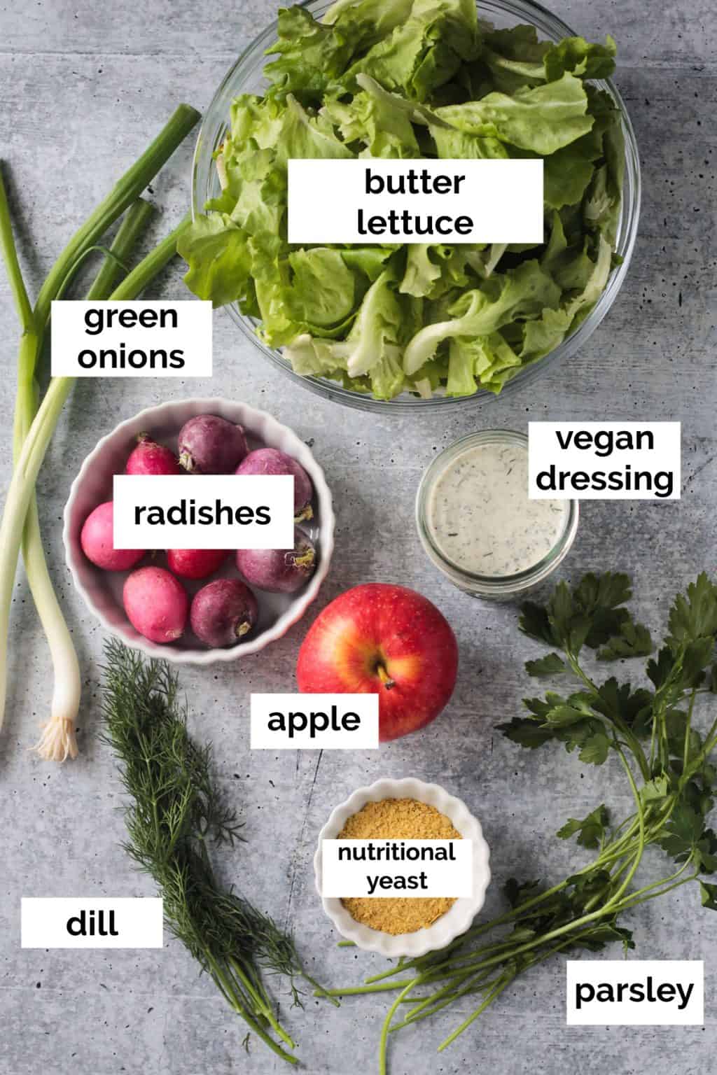 Butter Lettuce Salad with Apples and Fresh Herbs ~ Veggie Inspired