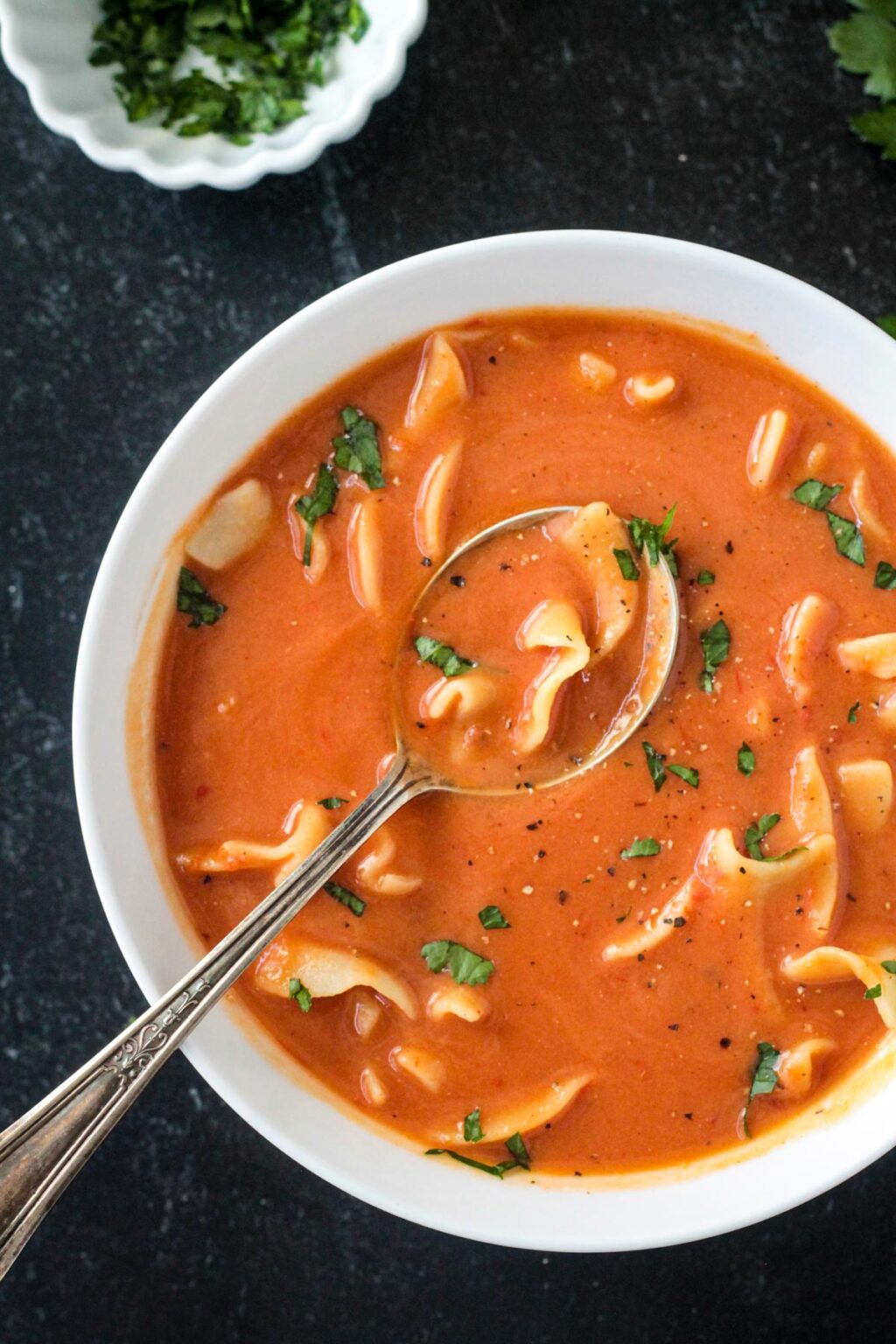 Shortcut Vegan Polish Tomato Soup with Noodles ~ Veggie Inspired